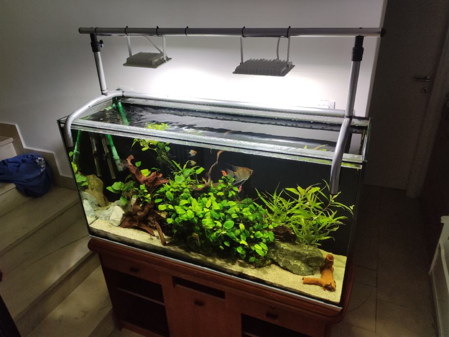 Akvarij 300L sa svom opremom
