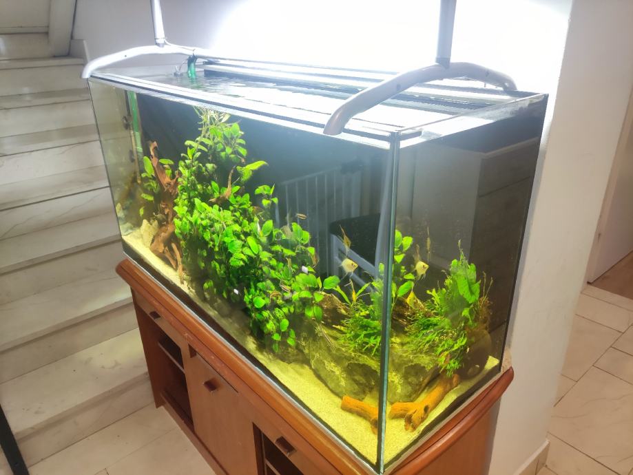 Akvarij 300L sa svom opremom