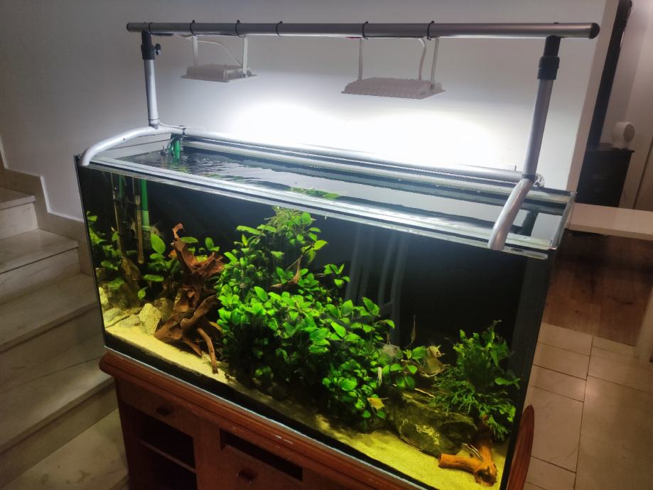 Akvarij 300L sa svom opremom