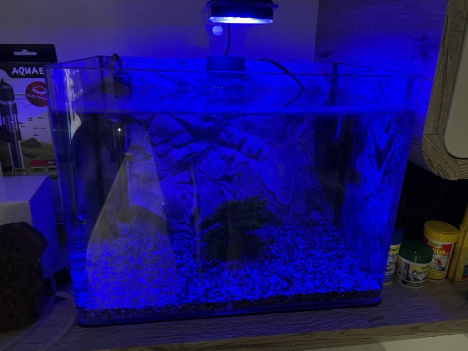 akvarij 30L sa opremom (grijač,pumpa+vulkan,filter,LED) i 10-ak ribica