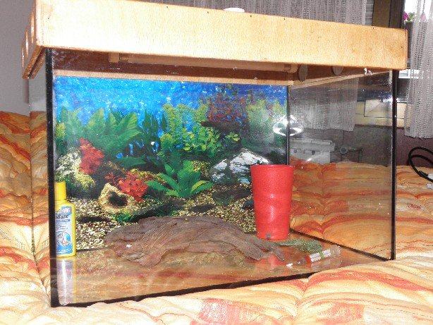 Akvarij 45 litara sa svom opremom (manji akvarij na poklon)