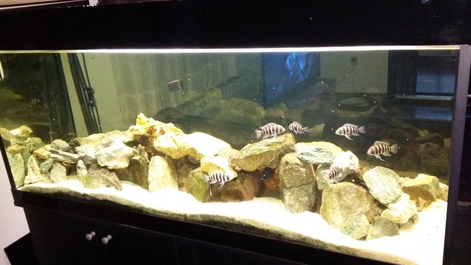 AKVARIJ 500L