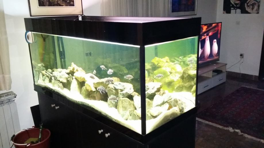 AKVARIJ 500L