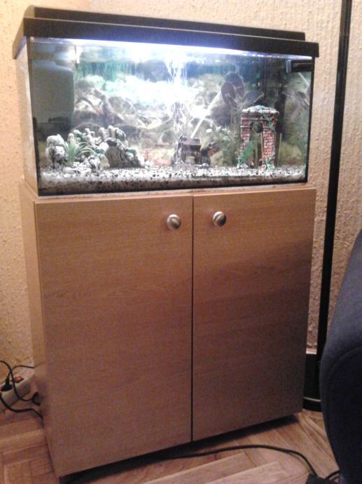 Akvarij 60 l sa cijelom opremom i ribicama