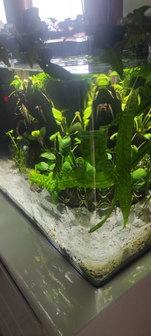 Akvarij NOVI 80L komplet čitaj