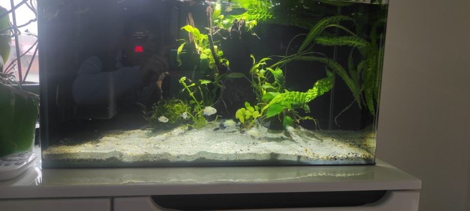 Akvarij NOVI 80L komplet čitaj