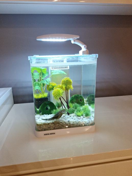 Akvarij Aqua Nova sa čistačem