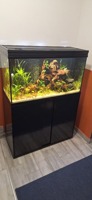 Akvarij AQUATLANTIS SPLENDID 240L sa postoljem, opremom i ribicama
