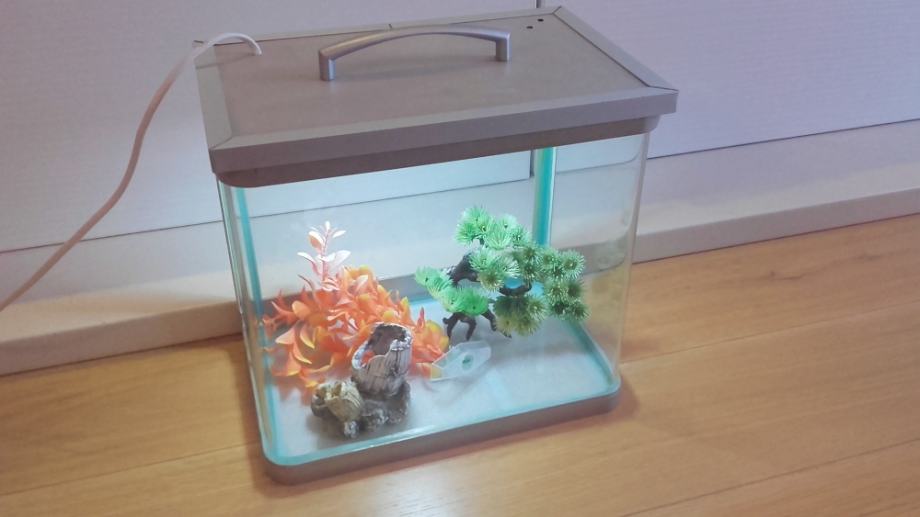 Akvarij – Nano akvarij
