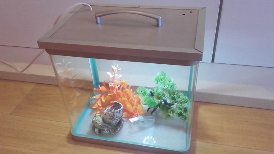 Akvarij – Nano akvarij