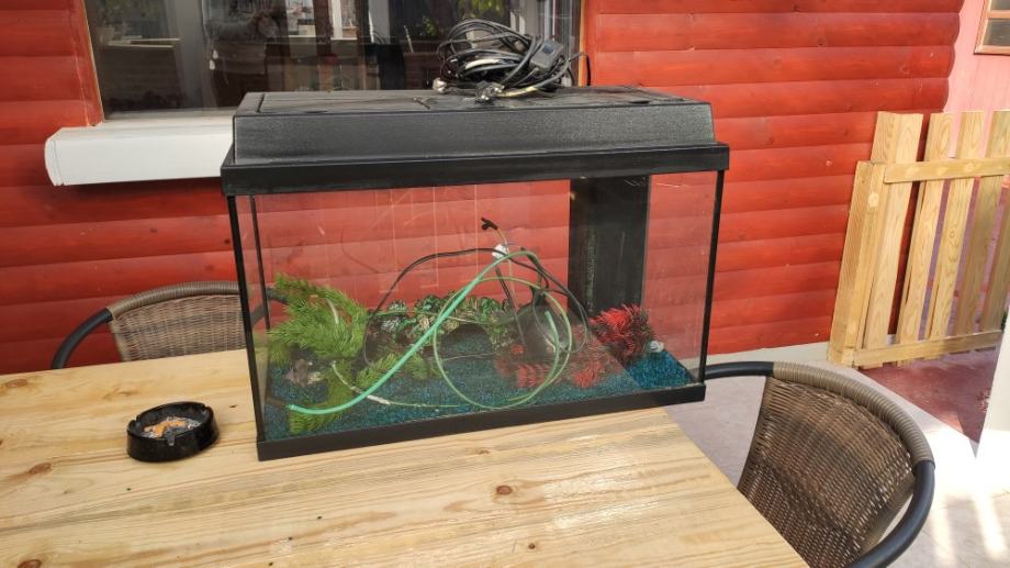 Akvarij za ribe