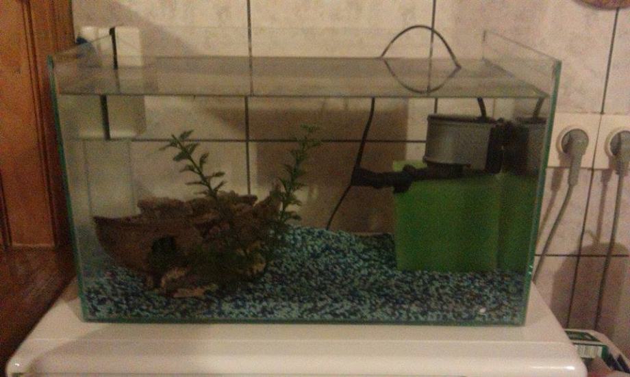 **AKVARIJ ZA RIBICE * 20L * POVOLJNO**
