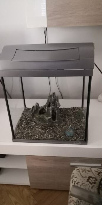 akvarij za ribice 30l