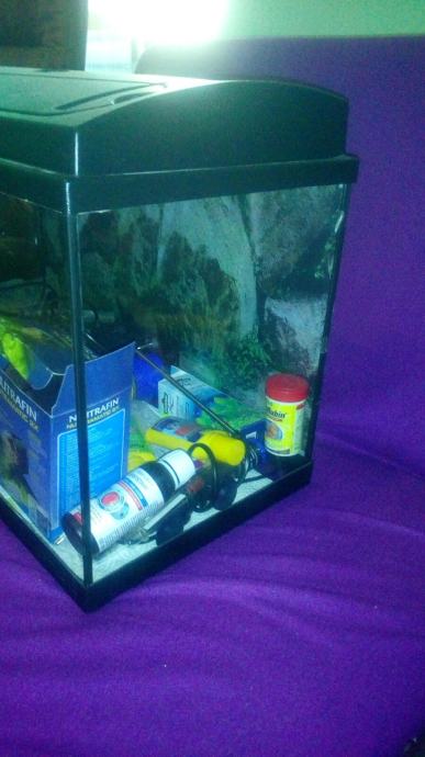Akvarij za ribice