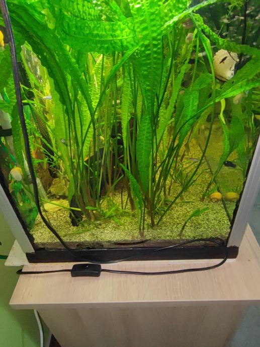 akvarij