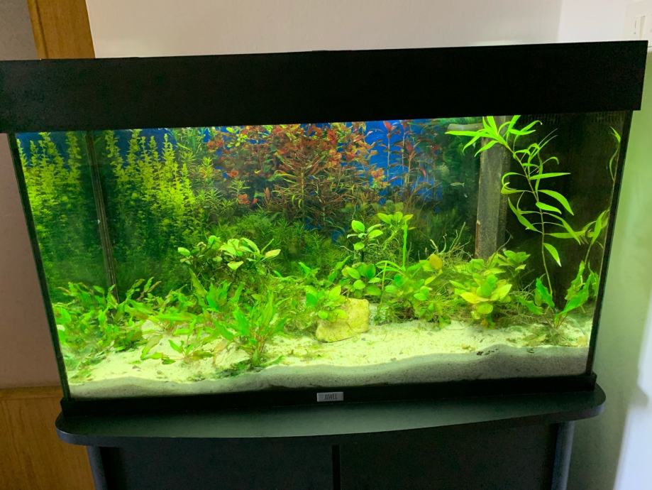 Akvarij