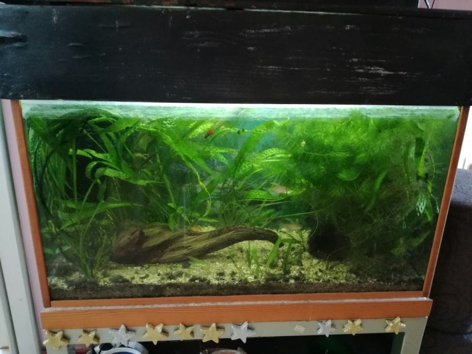 Akvarij