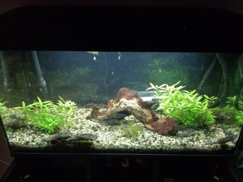 Akvarij