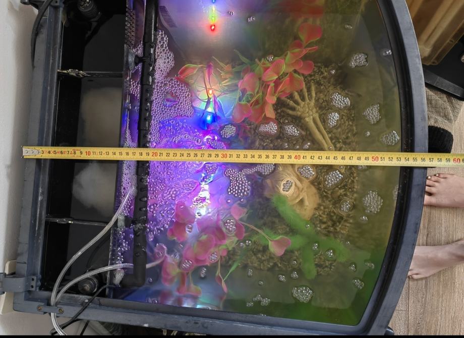 Akvarij sa svom dodatnom opremom