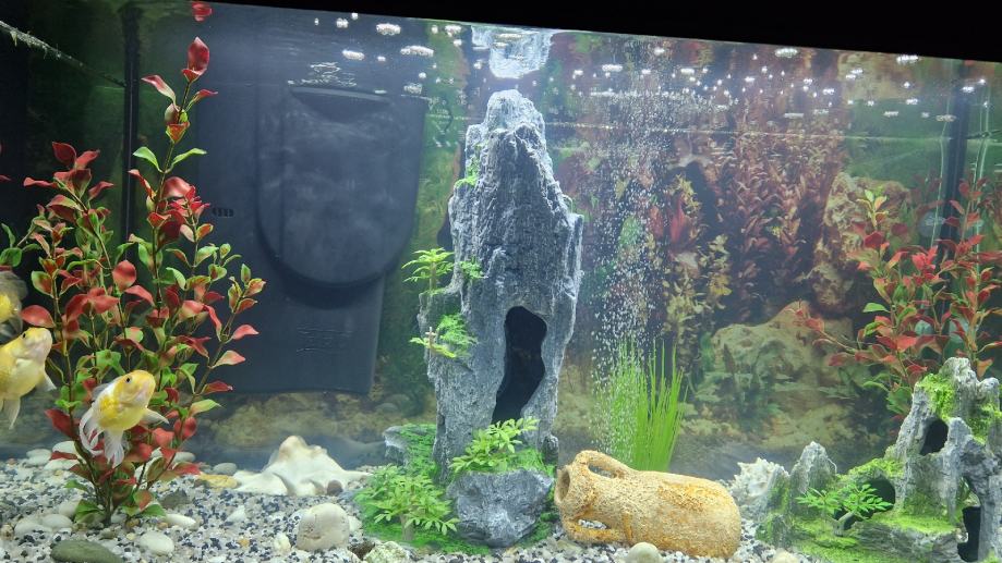 Akvarij Tetra 105l filter, svijetlo
