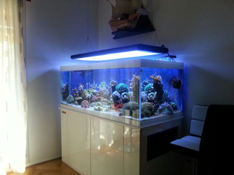 Morski akvarij - 580 litara