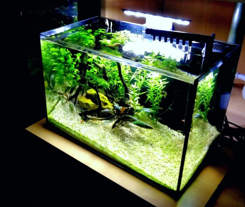 Nano Akvarij 12l
