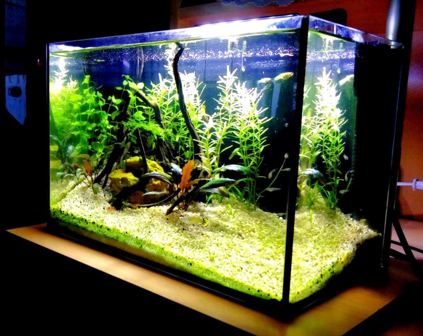 Nano Akvarij 12l