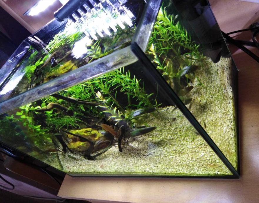Nano Akvarij 12l