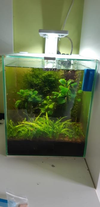 nano akvarij