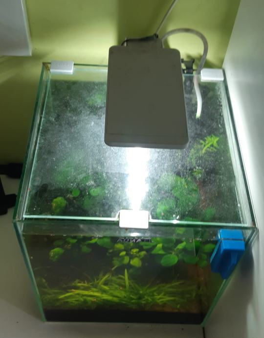 nano akvarij
