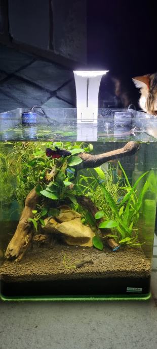 Nano Cube Dennerle akvarij 30l