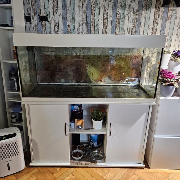 Poklanjam akvarij 300lt