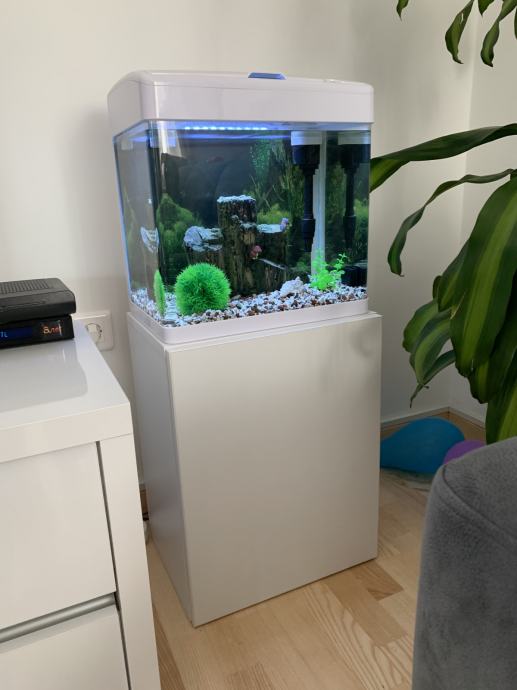 Prodajem akvarij 32L sa svom opremom i ormarićem