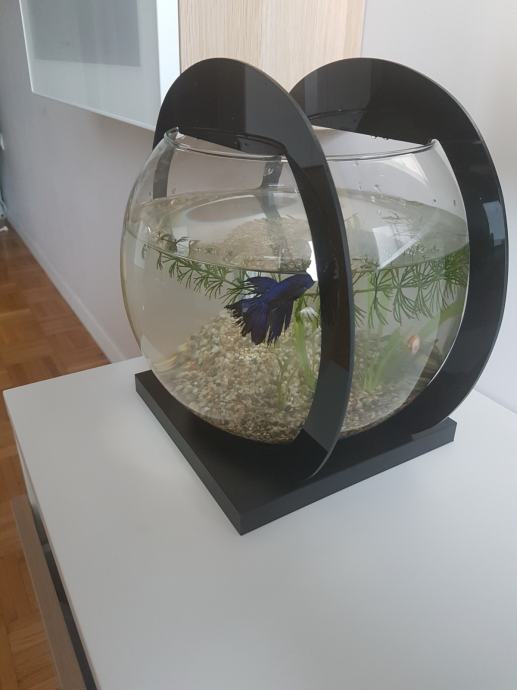 Prodajem akvarij za ribice 10 l 199 kn