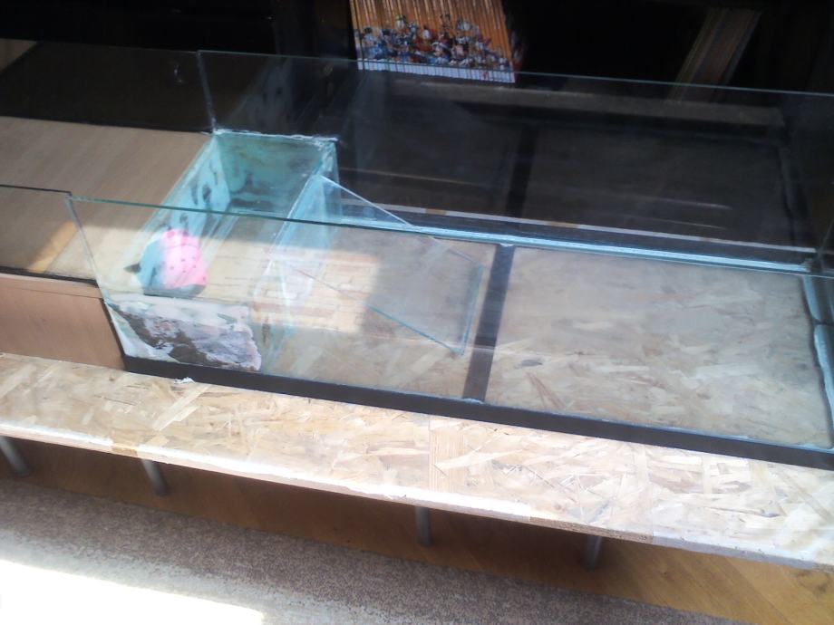 akvarij (terarij) za kornjače