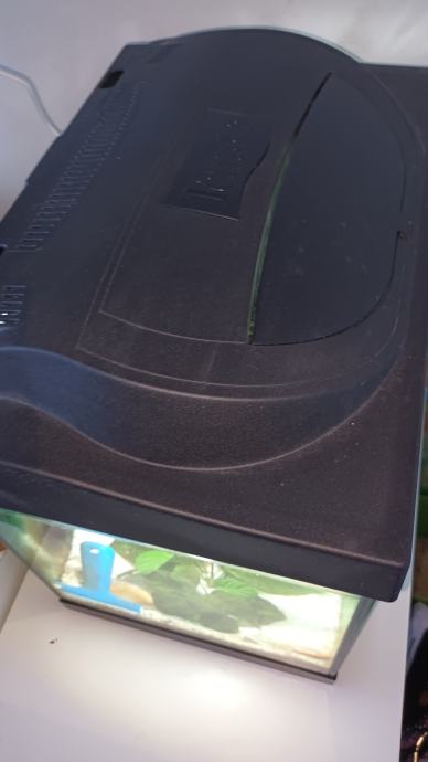 Tetra 30l akvarij s pumpom, grijačem i rasvjetom