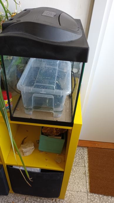 Tetra 30l akvarij s pumpom, grijačem i rasvjetom