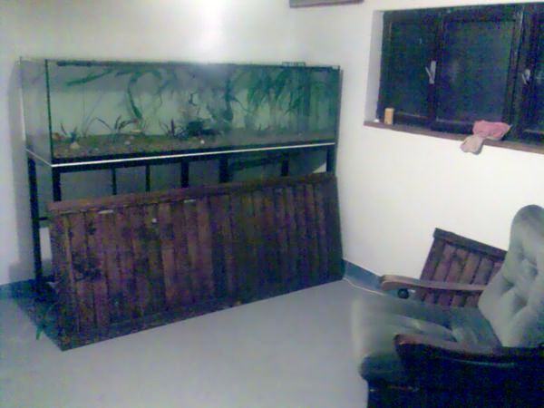 Akvarij slatkovodni 500 L