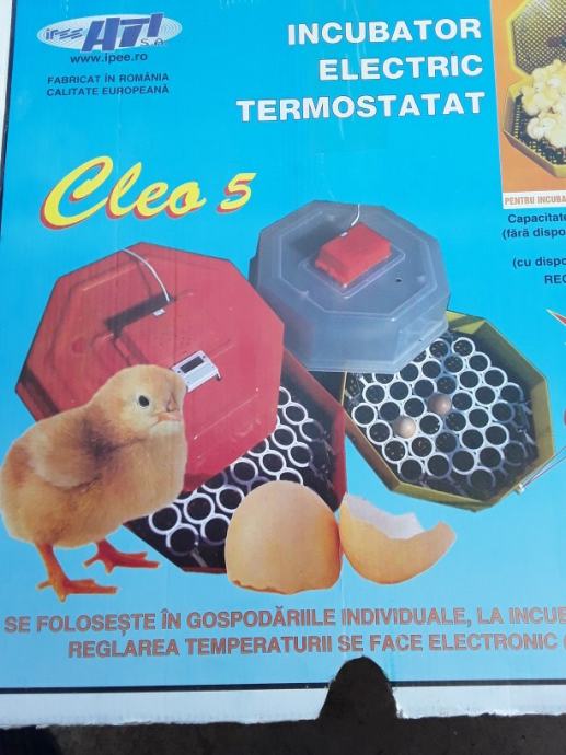Inkubator Cleo 5