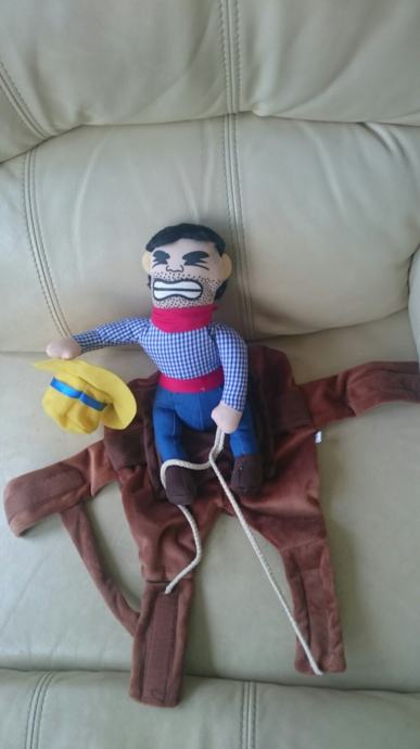 Novi kaput odjeća za psa