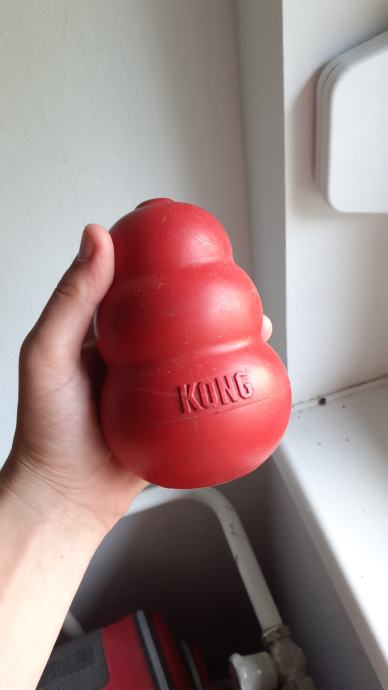 Kong