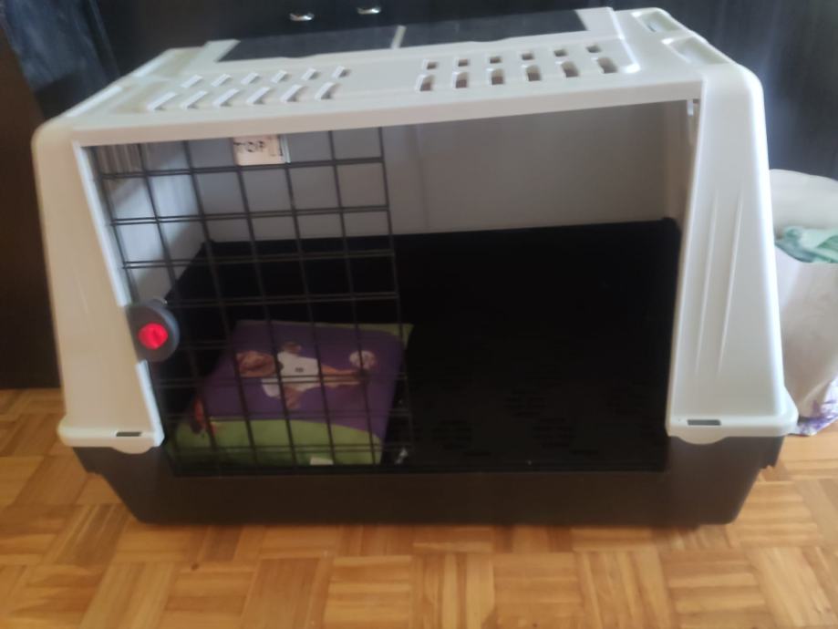 Transporter za psa, 100x60x66cm