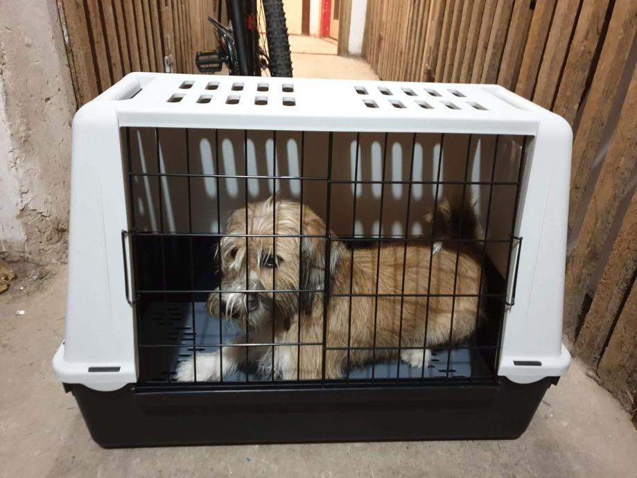 Transporter za psa / mačku