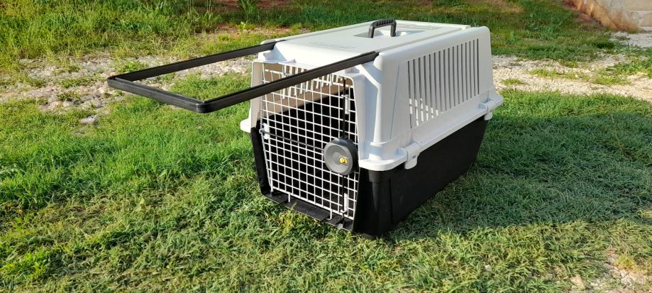 Transporter za psa