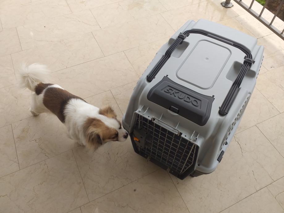 Transporter za psa srednje veličine SCUDO