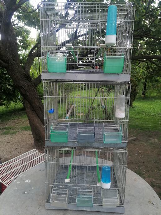 Krletke (kavezi) zaptice, kanarince, zebe, egzote, papige 37x37x30cm