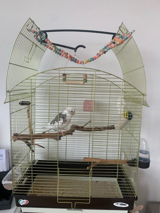 Krletku/kavez pa srednje i male papige (Nimfe, tigrice…)