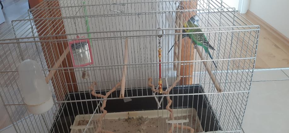 Prodajem krletku s dva papagaja