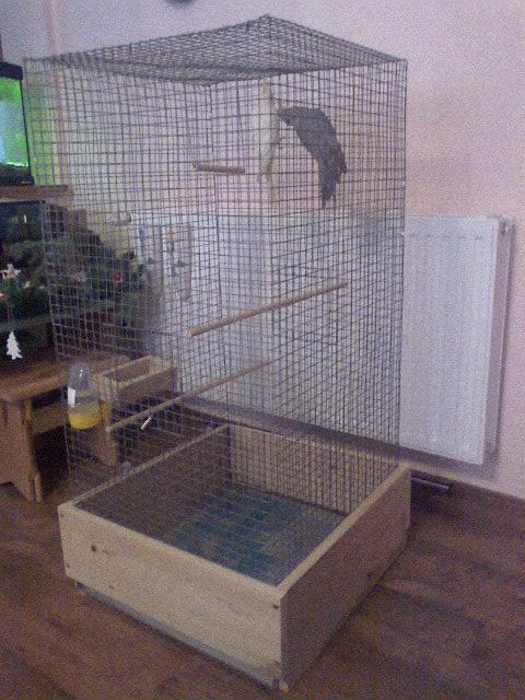 prodajem veliki kavez za papige