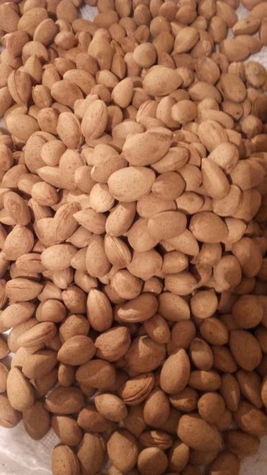 Bademi / bajami iz okolice Šibenika eko